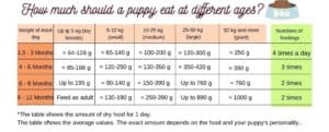 Complete Puppy Feeding Chart By Age