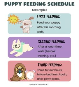 Complete Puppy Feeding Guide + Printable Chart