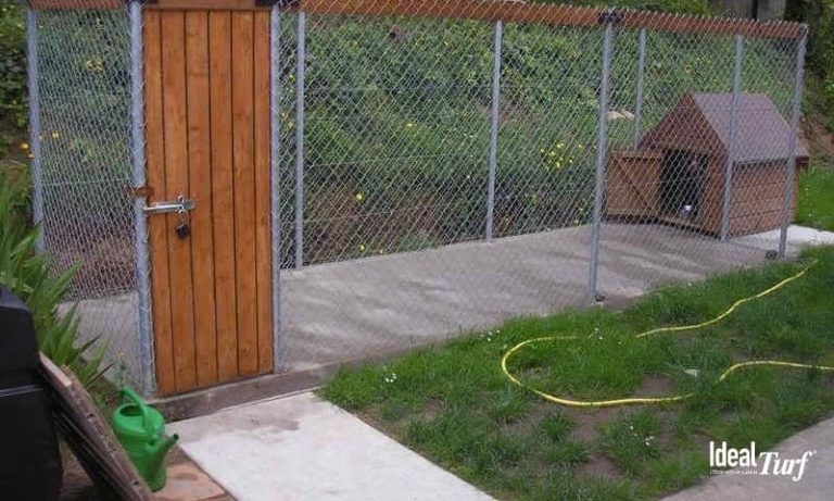 30+ Outdoor Dog Area Ideas - How To Make a Dog Area in Your Backyard