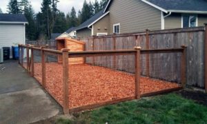 30+ Outdoor Dog Area Ideas - How To Make a Dog Area in Your Backyard