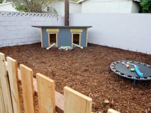 30+ Outdoor Dog Area Ideas - How To Make a Dog Area in Your Backyard