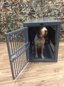 7 Best Indestructible Dog Crates [2024] 🏆