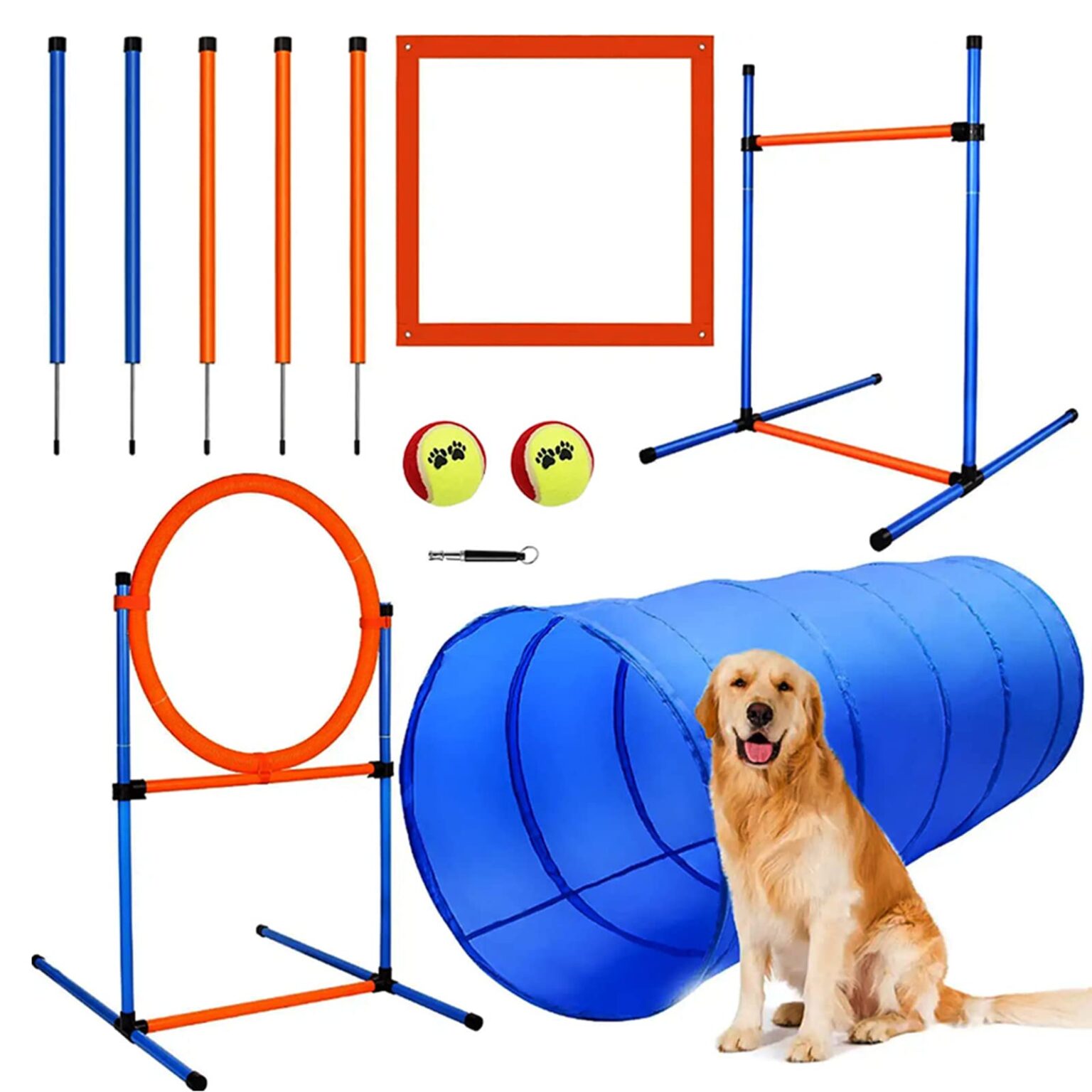 🥇Best Dog Training Tools and Supplies + Tips